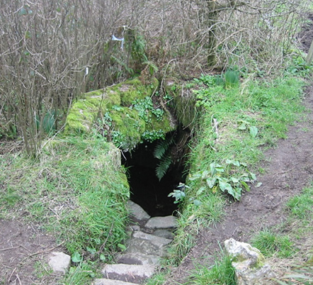 It’s Celtic saints’ month – Cornish studies resources