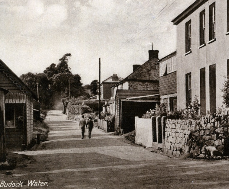 Contrasting Budock biographies – Cornish studies resources